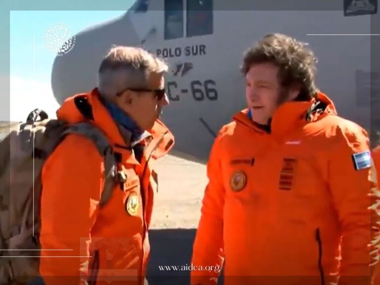 dantartico – AIDCA